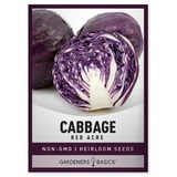 Red Acre Cabbage Seeds - Walmart.com
