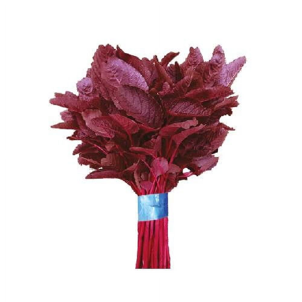 Red Amaranth (Lal Shak) - Rakta Karabi Seeds for Planting - 100g ...