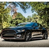 Red Auto-Body Molding Trim for Car SUV Truck Exteriors 22 Feet Long ...