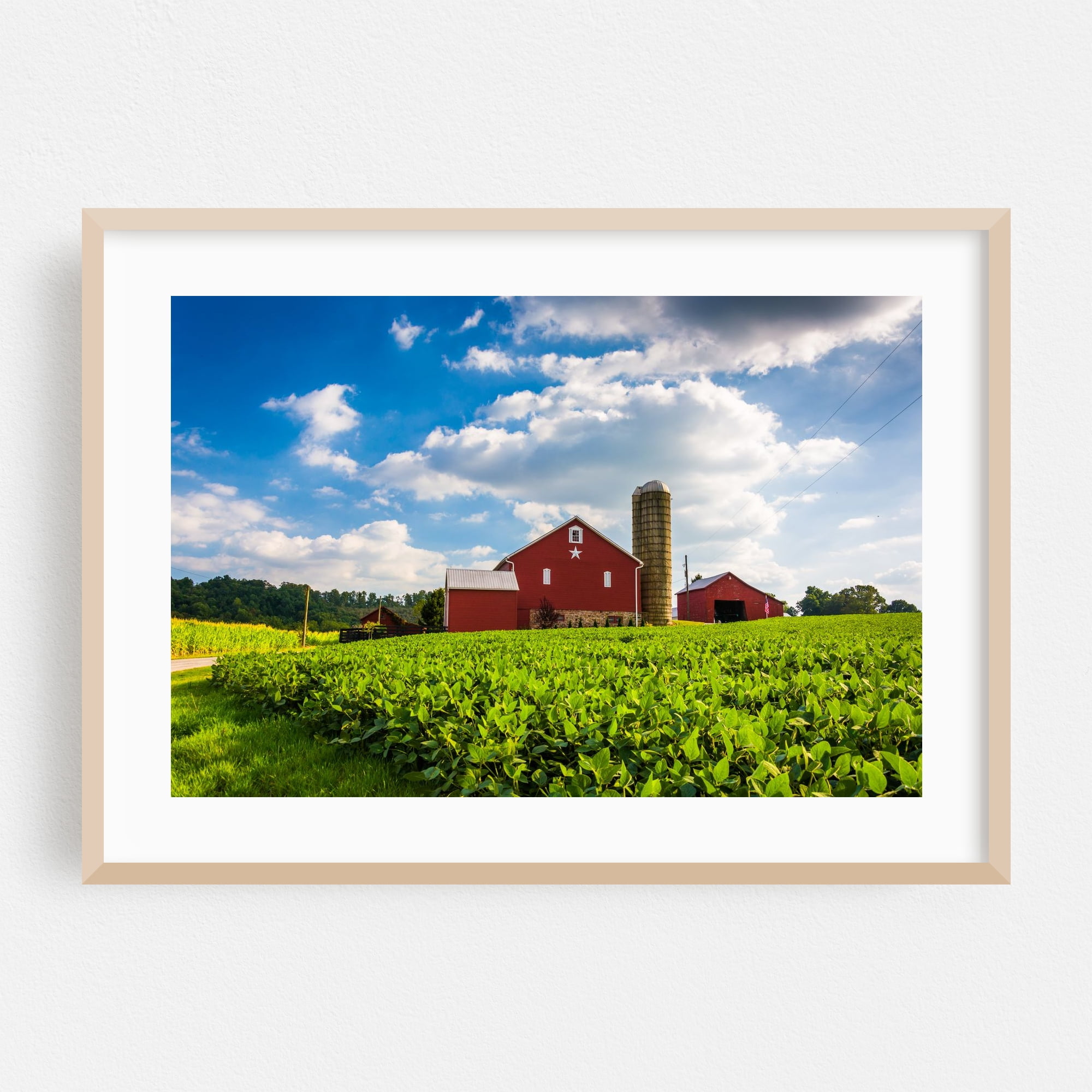 Red Barn, Spring Grove - Spring Grove Pennsylvania Photography Oak ...