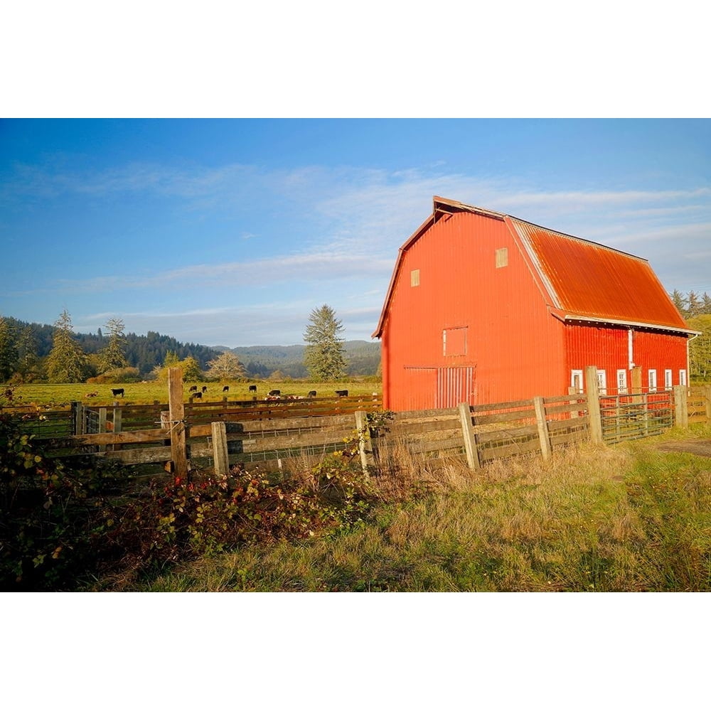Red Barn with Cows 2 Poster Print - Vizvary Photography Susan (24 x 18 ...
