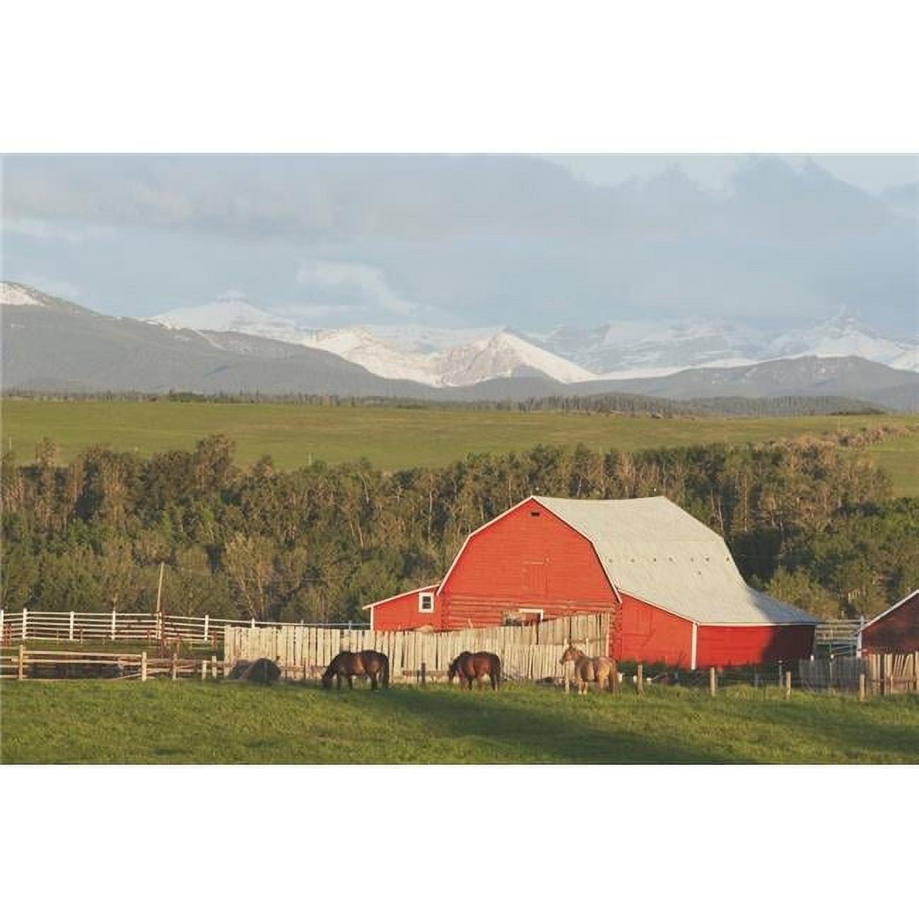 Red Barn with Horses Grazing Poster Print, 38 x 24 - Walmart.com