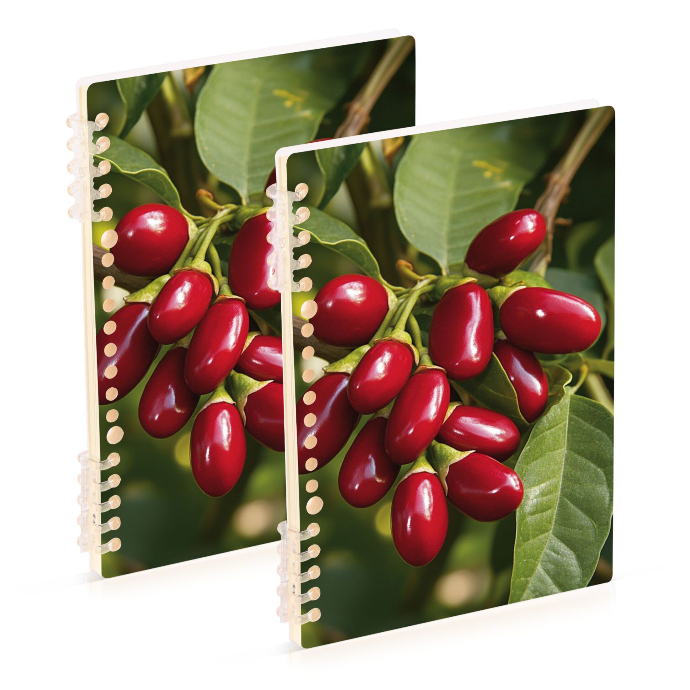 Red Beans on Branch Green Leaves Notebook Detachable Coil Notebook ...