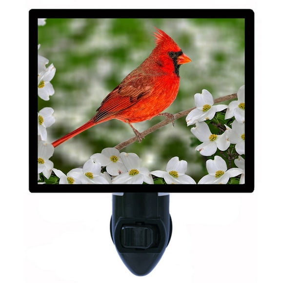 Cardinal Lamp