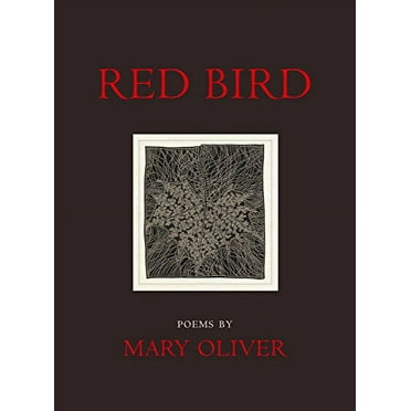 Owls and Other Fantasies : Poems and Essays (Paperback) - Walmart.com