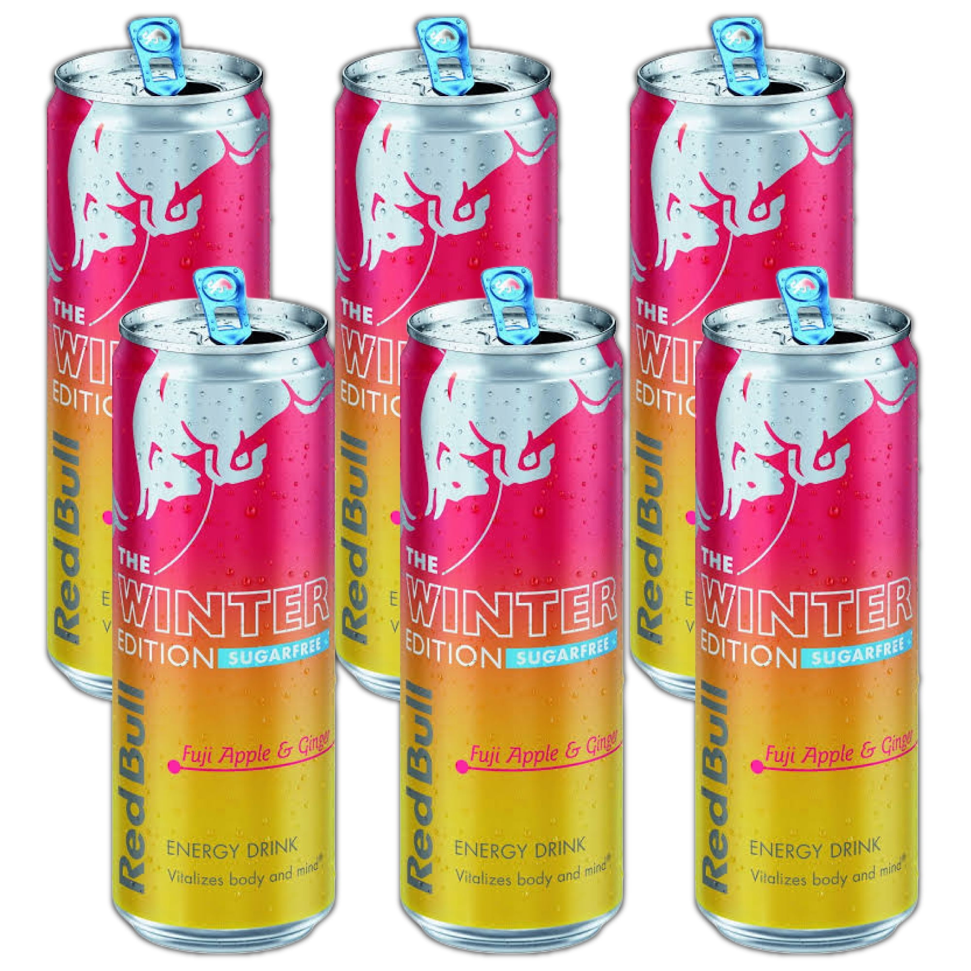 Red Bull Sugar Free Energy Drink, The Winter Edition, 12 Fl Oz (6 pack ...