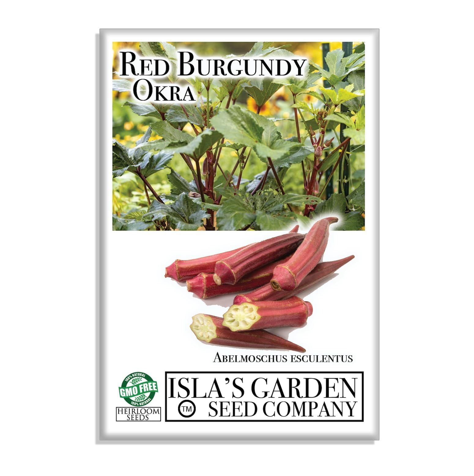 Red Burgundy Okra TWE5 Seeds for Planting, 100+ Heirloom Seeds Per ...