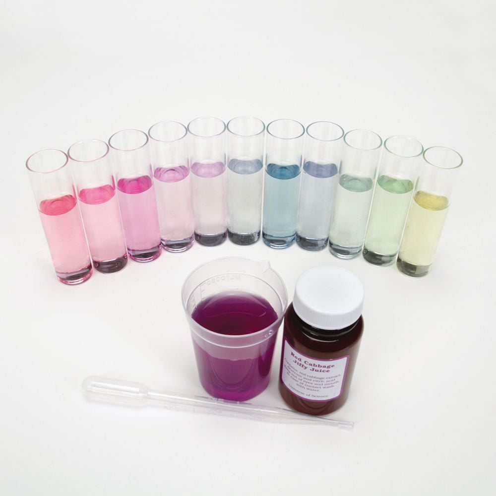 Red Cabbage Jiffy Juice Kit, Add Water And Use As A Ph Indicator ...