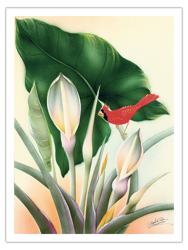 Red Cardinal and White Calla Lily Flowers - Vintage Hawaiian Airbrush ...