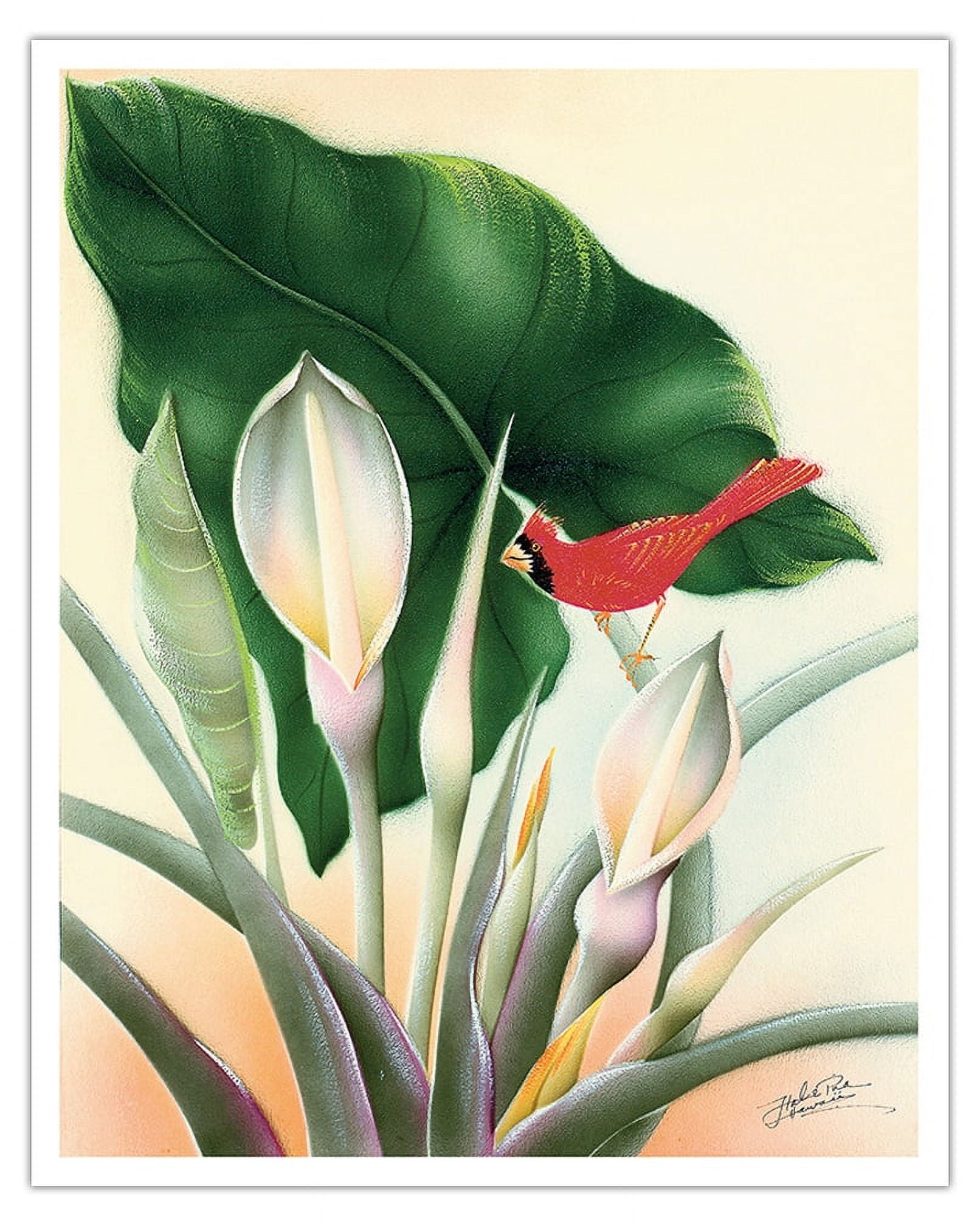 Red Cardinal and White Calla Lily Flowers - Vintage Hawaiian Airbrush ...