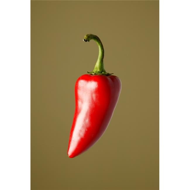 Red Chili Pepper Poster Print by Darren Greenwood - 11 x 16 - Walmart.com