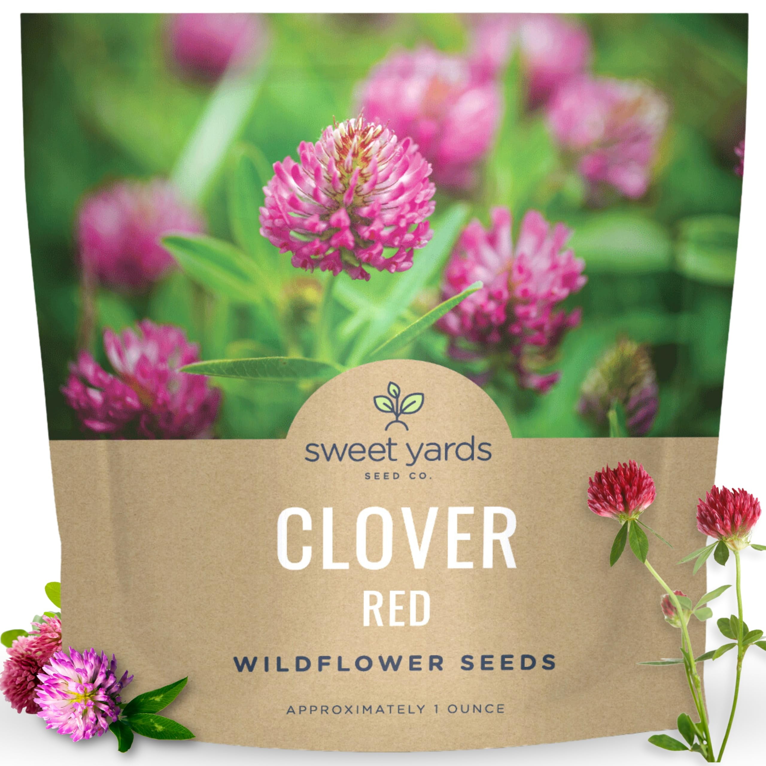 Red Clover - TWE5 Large 1 Ounce Packet - 15,000 Flower Seeds for Planting - Trifolium pratense ...