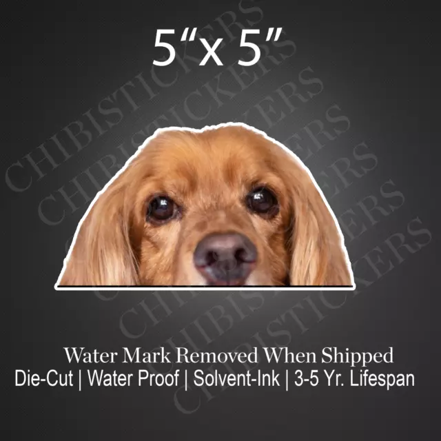 Red Cocker Spaniel Realistic Dog Sticker Vinyl Waterproof Phone Decal ...