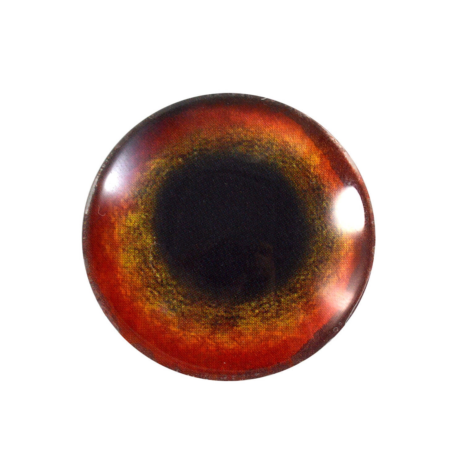 Red Parrot Glass Eyes - Walmart.com