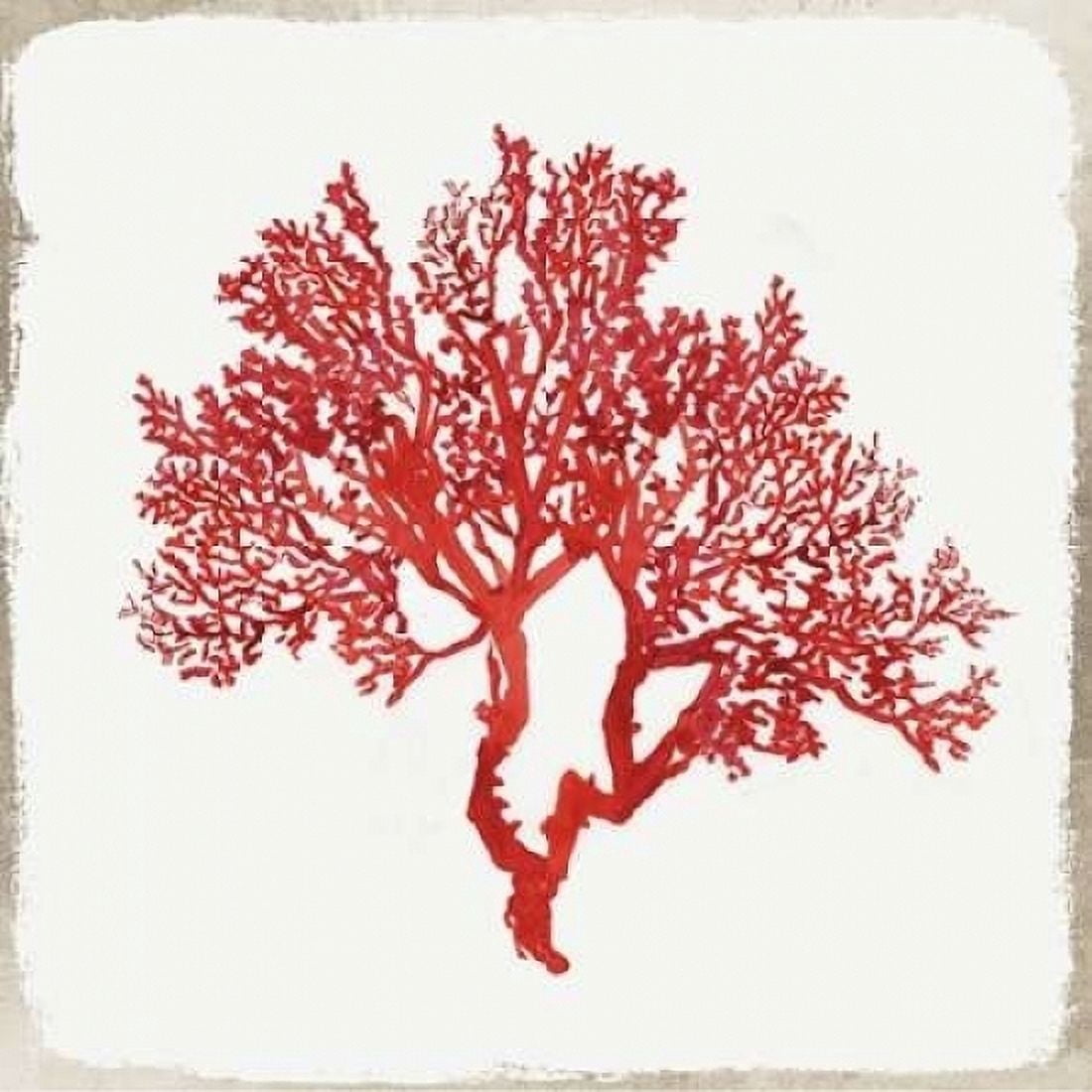 Red Coral II Poster Print by Aimee Wilson (24 x 24) - Walmart Business ...