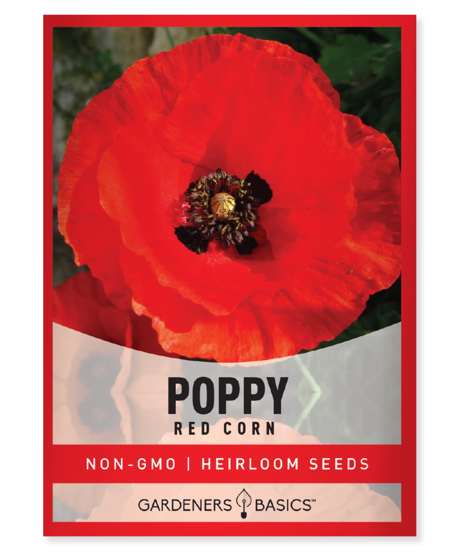 Red Corn Poppy Seeds - Walmart.com