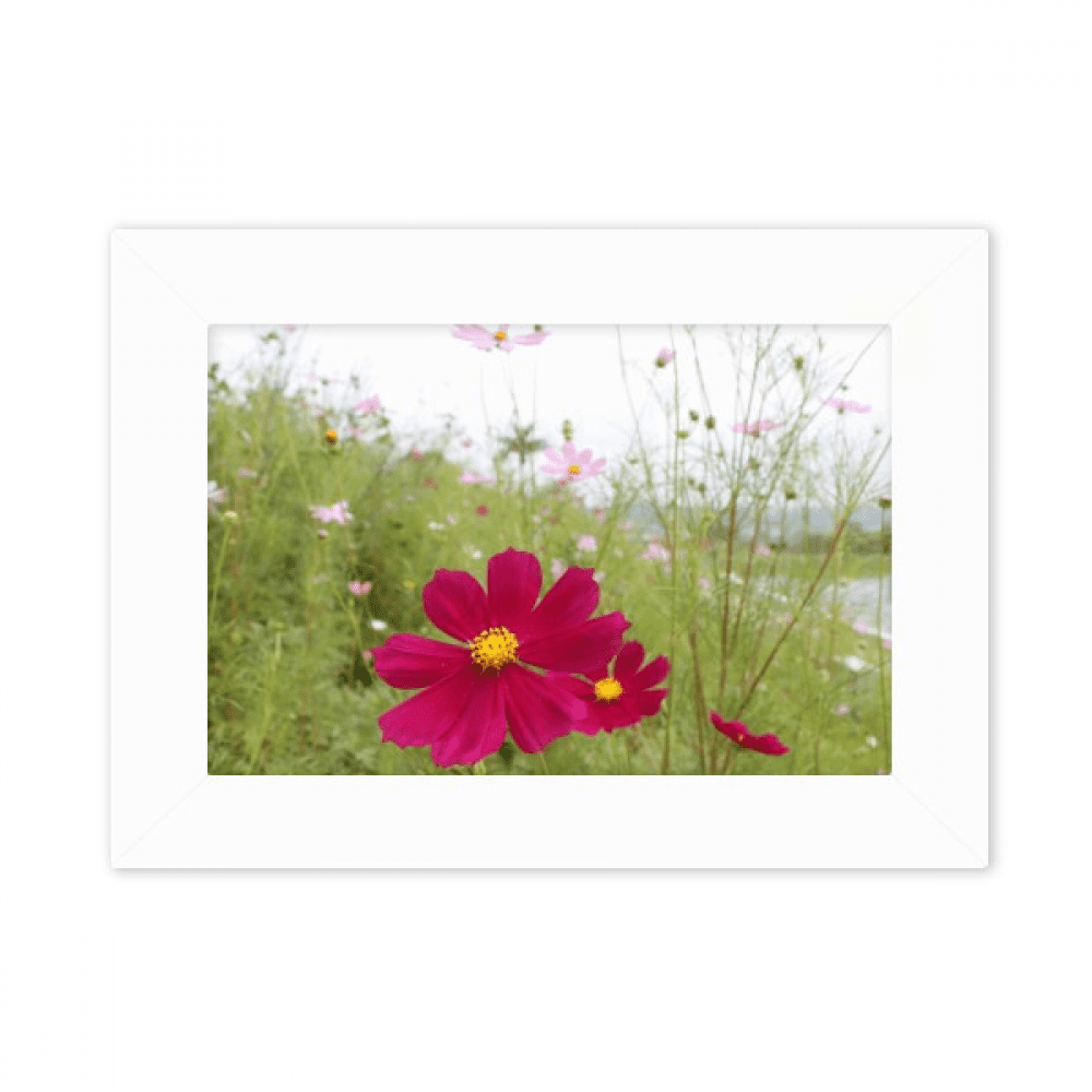 Red Cosmos Art Deco Fashion Photo Mount Frame Picture Art Painting ...