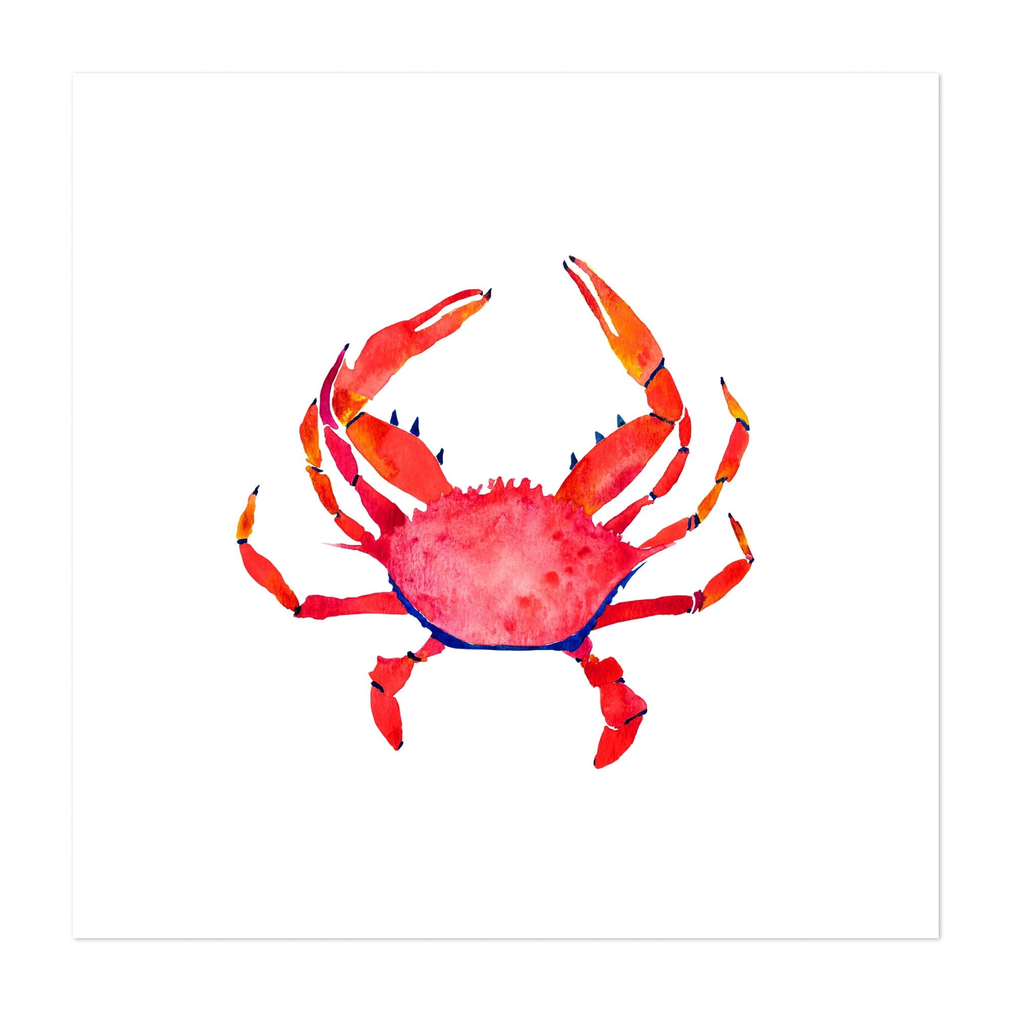 Red Crab - Painting Watercolor Marine Life Aquatic Illustration Beach ...