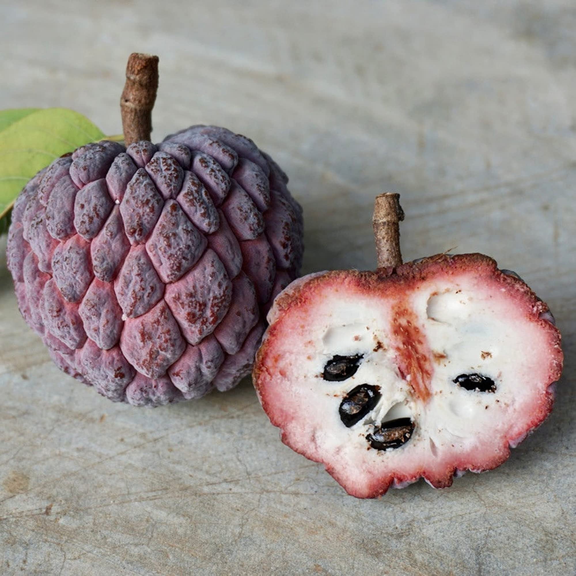 Red Custard AppleEGSC Seeds Red Soursop, Annona Reticulata Sweet ...