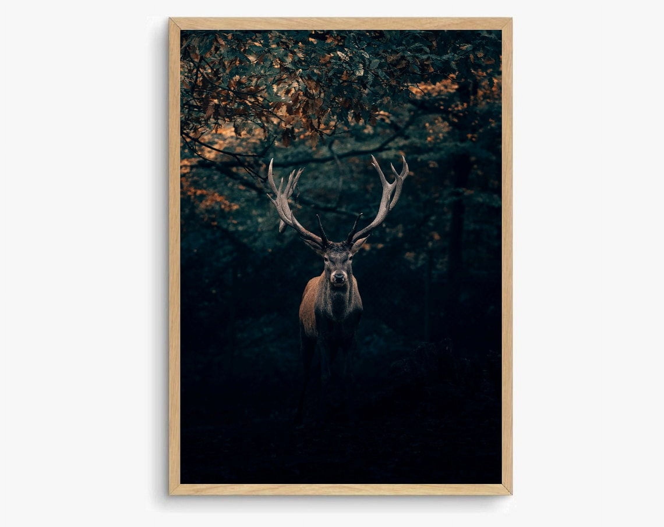 Red Deer Print, Wild Deer Photography, Nordic Animal Poster, Wildlife ...