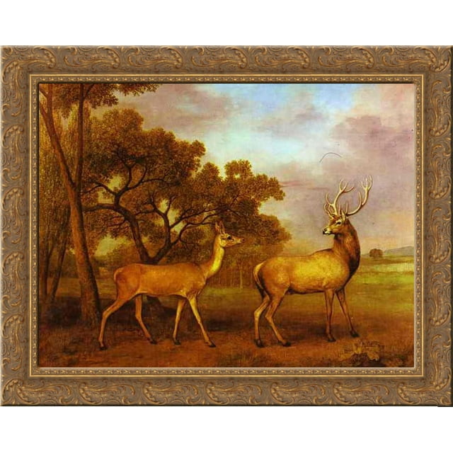Red Deer Stag and Hind 24x20 Gold Ornate Wood Framed Canvas Art by ...
