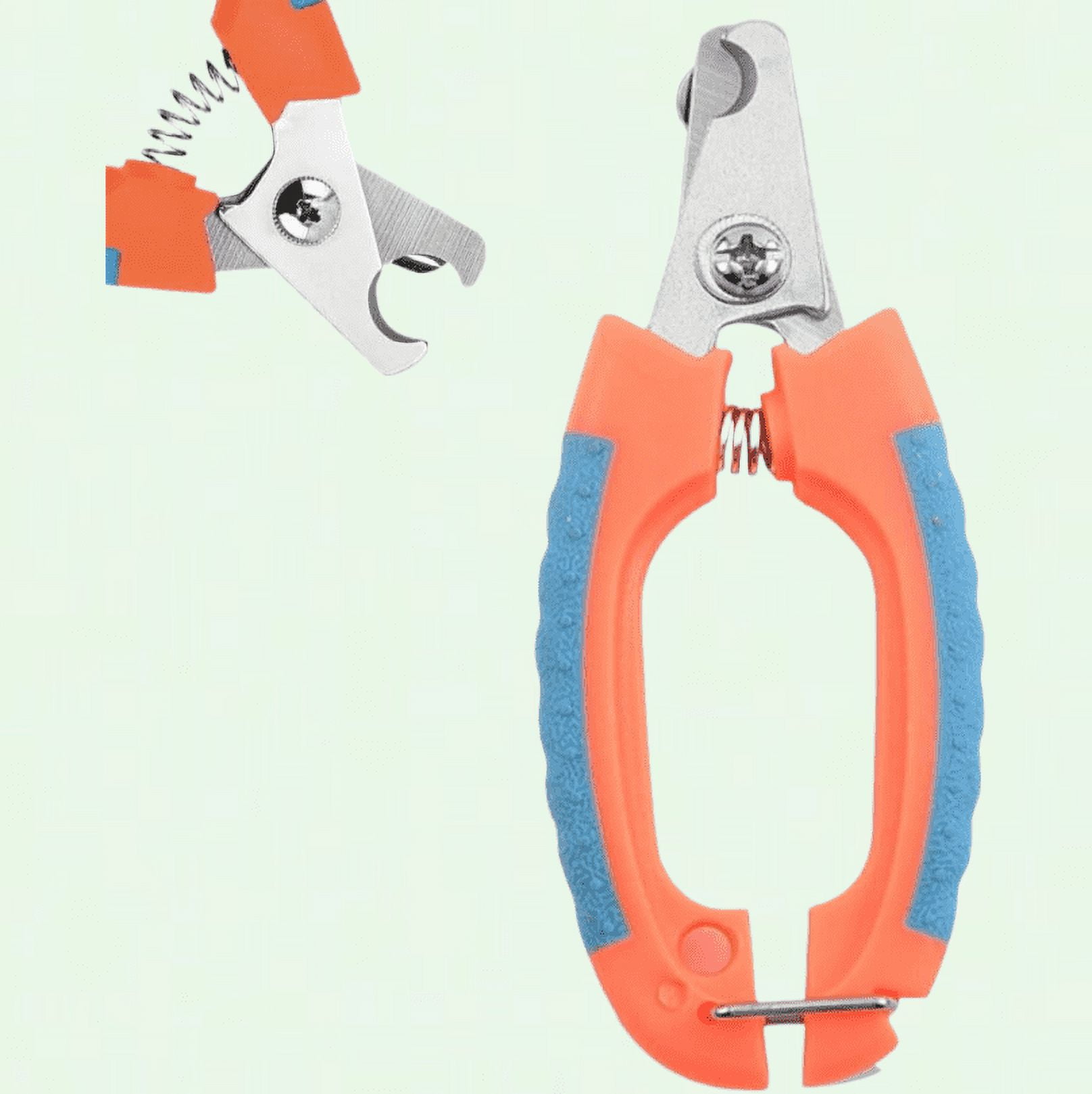 Red Dental Orthodontic Retainer/Aligner Case/Box/Mouth Guard and ...