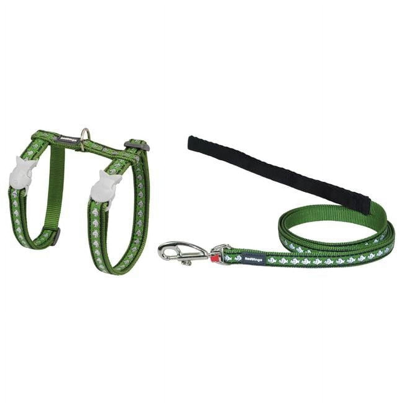 Red Dingo CH-RF-GR-12 Cat Harness & Lead Combo Reflective Fish Green ...