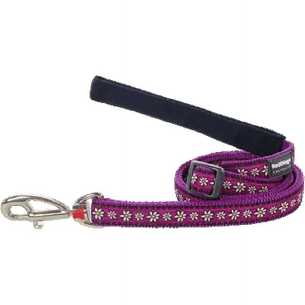 Red Dingo Design Daisy Chain Purple Dog Leash, Extra-Small, 6 Feet ...