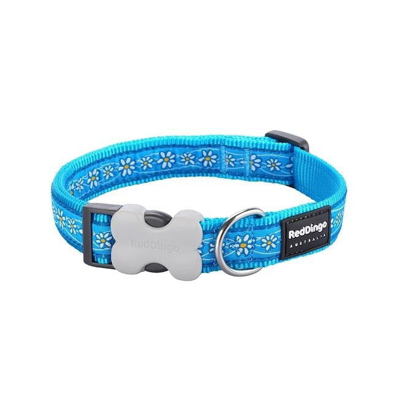 Red Dingo Dog Collar Design Daisy Chain Turquoise - Large - Walmart.com