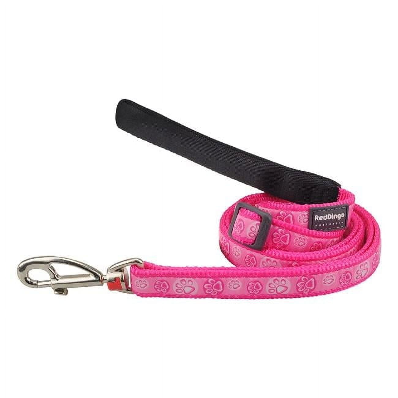 Red Dingo L6-PI-HP-20 Dog Lead Design Paw Impressions Hot Pink - Medium ...