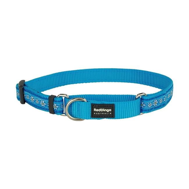 Red Dingo MC-DC-TQ-25 Martingale Design Daisy Chain Turquoise - Large ...