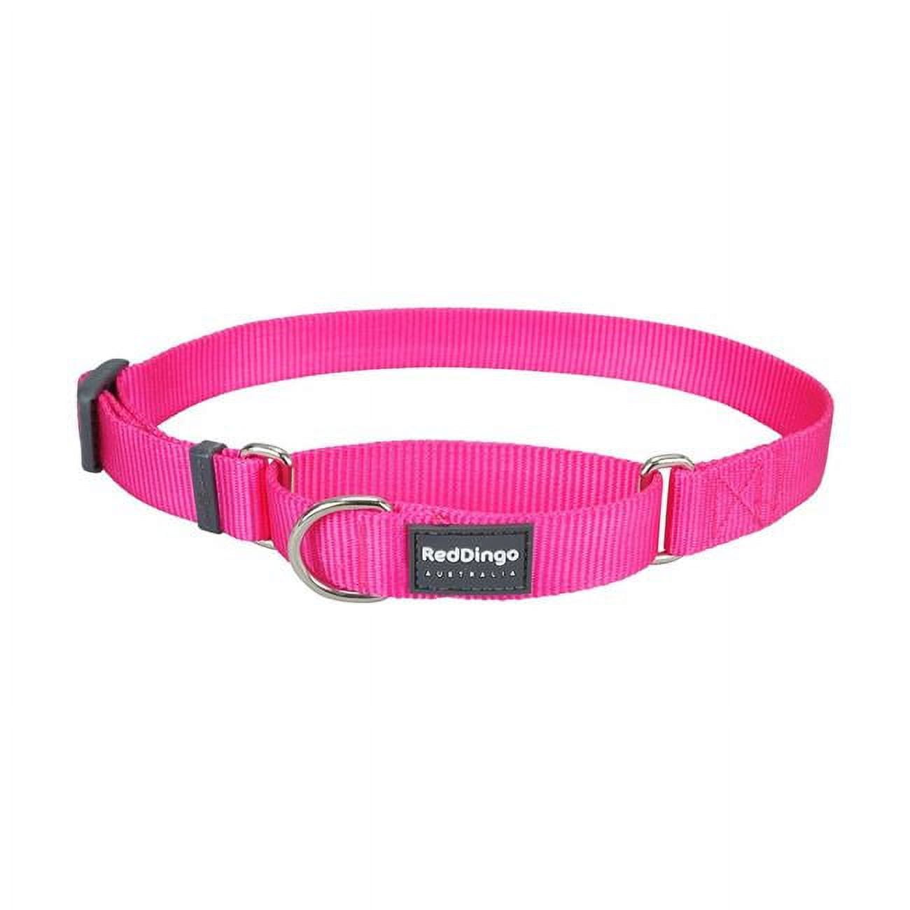 Red Dingo Martingale Classic Hot Pink - Large - Walmart.com