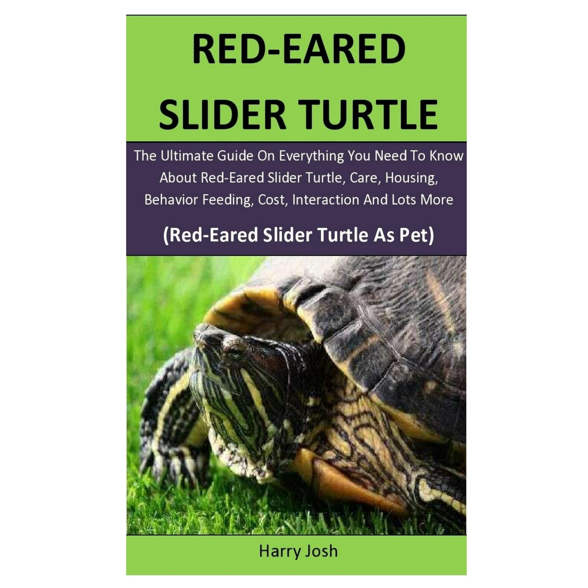 Red Eared Slider Turtles Eating