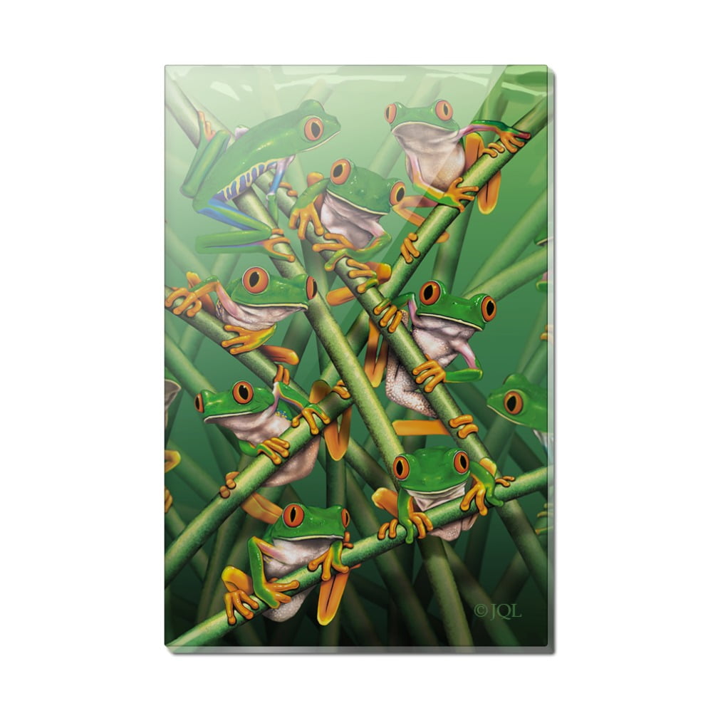Red Eye Tree Frog Grouping Tropical Rainforest Rectangle Acrylic Fridge ...