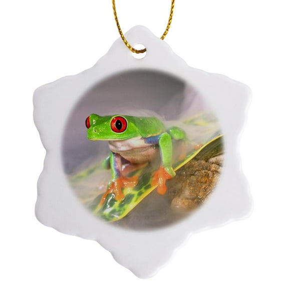 Red Eye Treefrog In The Mist, Central America - Na02 Dno0021 - David ...