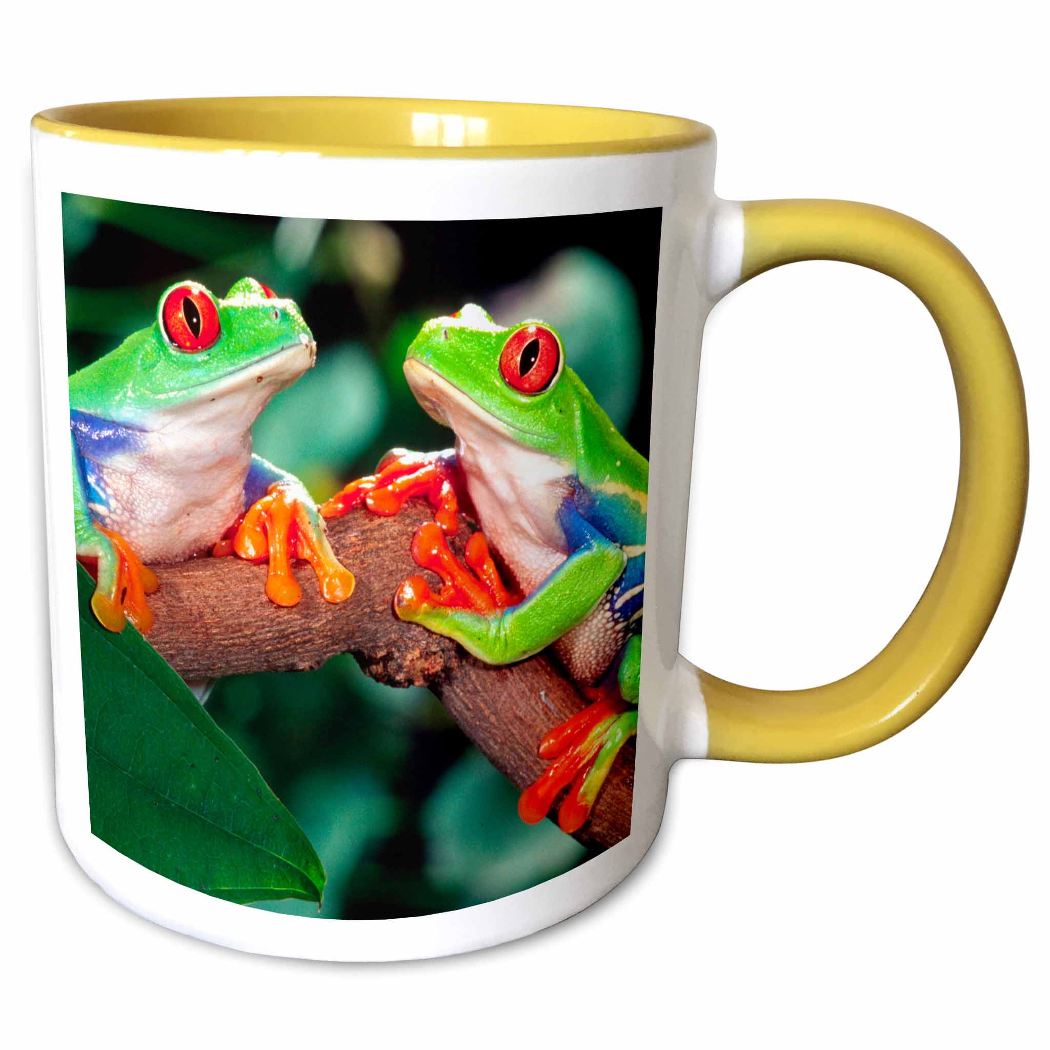 3drose, Red Eye Treefrog Pair, Central America - Na02 Dno0024 - David ...
