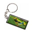 Red Eyed Tree Frog Keychain Key Chain Ring - Walmart.com