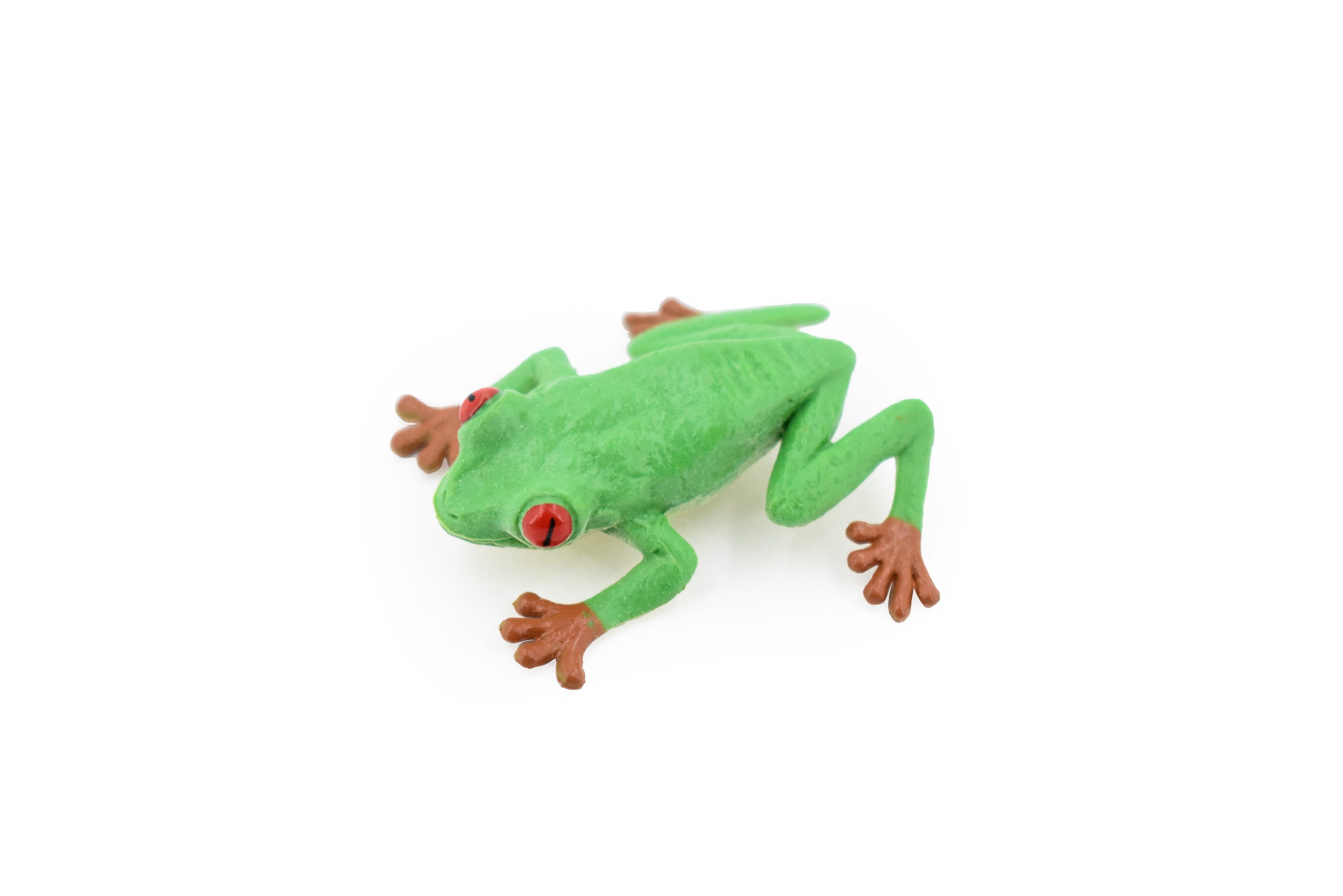Red Eyed Tree Frog Plastic Toy Realistic Rainforest Figure Model ...