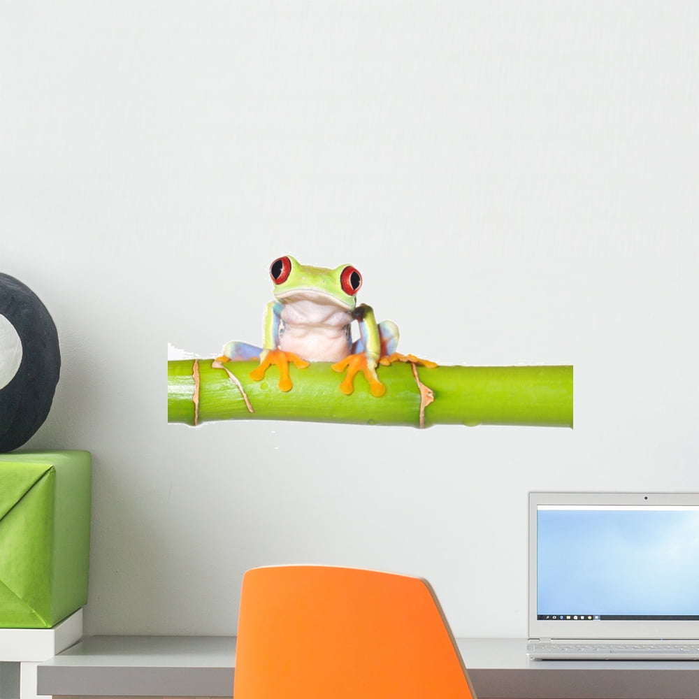 Red Eyed Tree Frog Wall Decal by Wallmonkeys Peel and Stick Graphic (18 ...