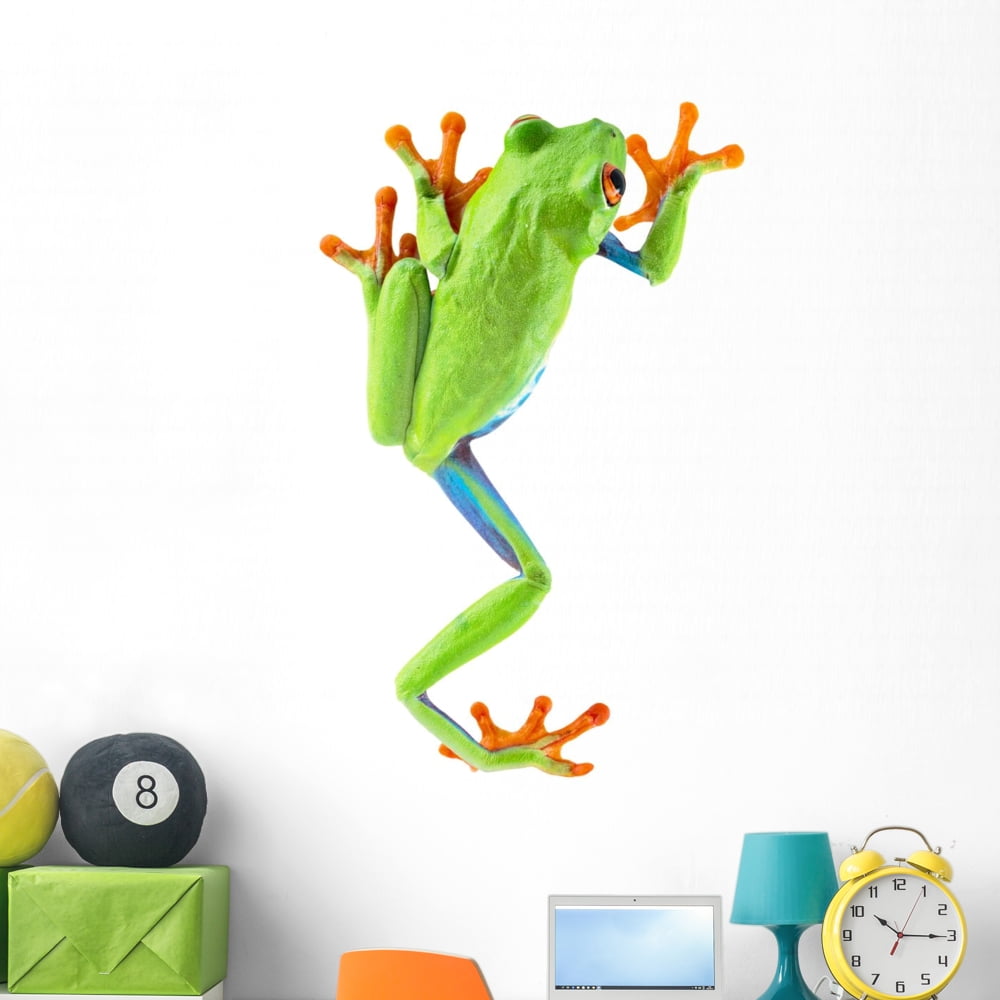 Red Eyed Tree Frog Wall Mural Decal by Wallmonkeys Vinyl Peel and Stick ...