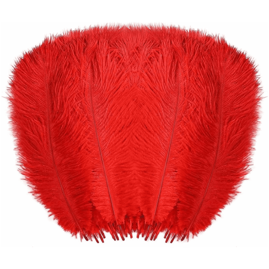 Red Feathers Natural 8-10inch/20cm-25cm for Crafts Wedding Party ...