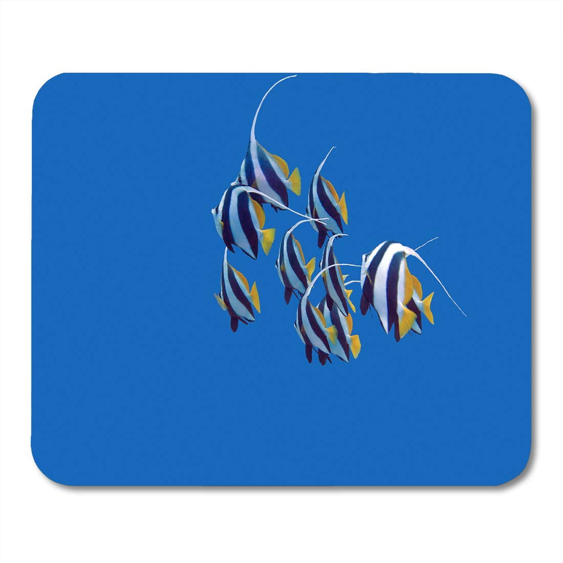 Red Fish Shoal of Bannerfishes in Tropical Sea Underwater Mousepad ...