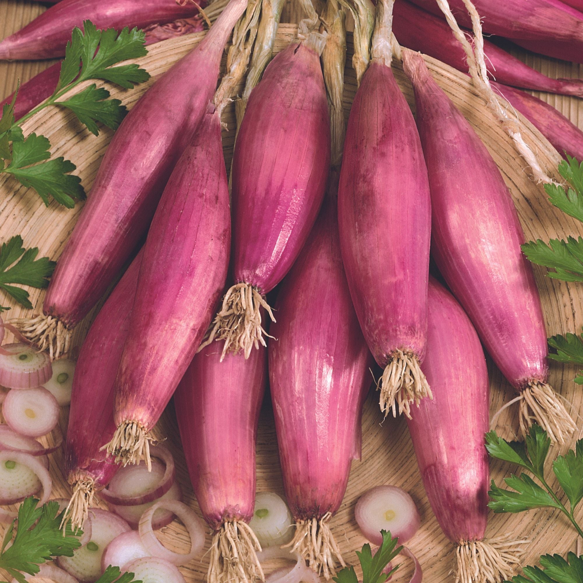 Red of Florence Onion 1g ~337 Seeds – Heirloom, Non-GMO, Open ...