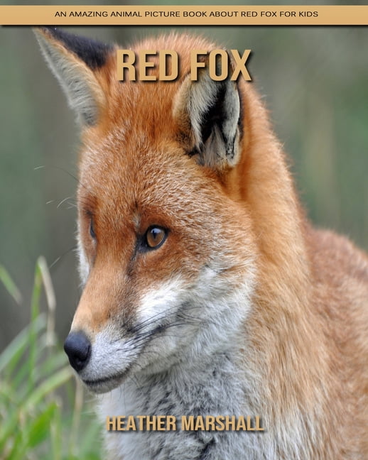 Red Fox : An Amazing Animal Picture Book about Red Fox for Kids ...