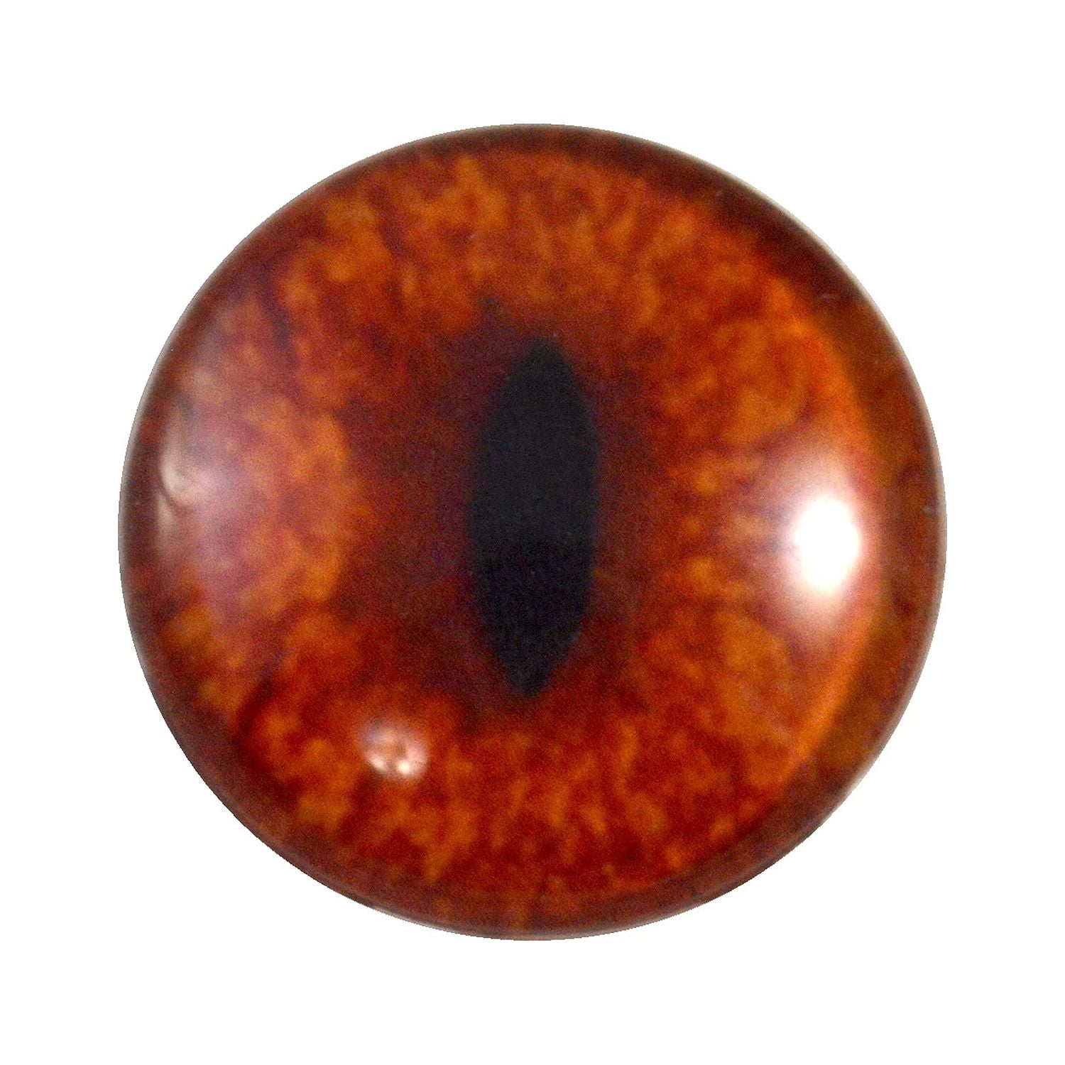 Red Fox Glass Eyes - Walmart.com