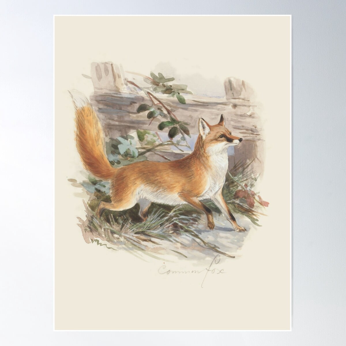 Red Fox Poster Wall Art, Modern Wall Decor For Living Room Bedroom ...