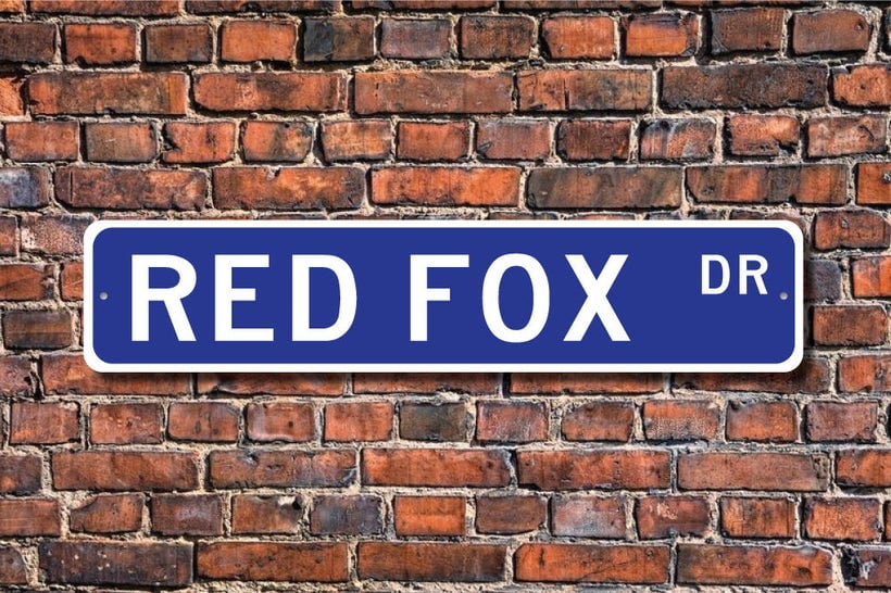 Red Fox Red Fox Gift Red Fox Sign Red Fox decor Red Fox lover largest ...