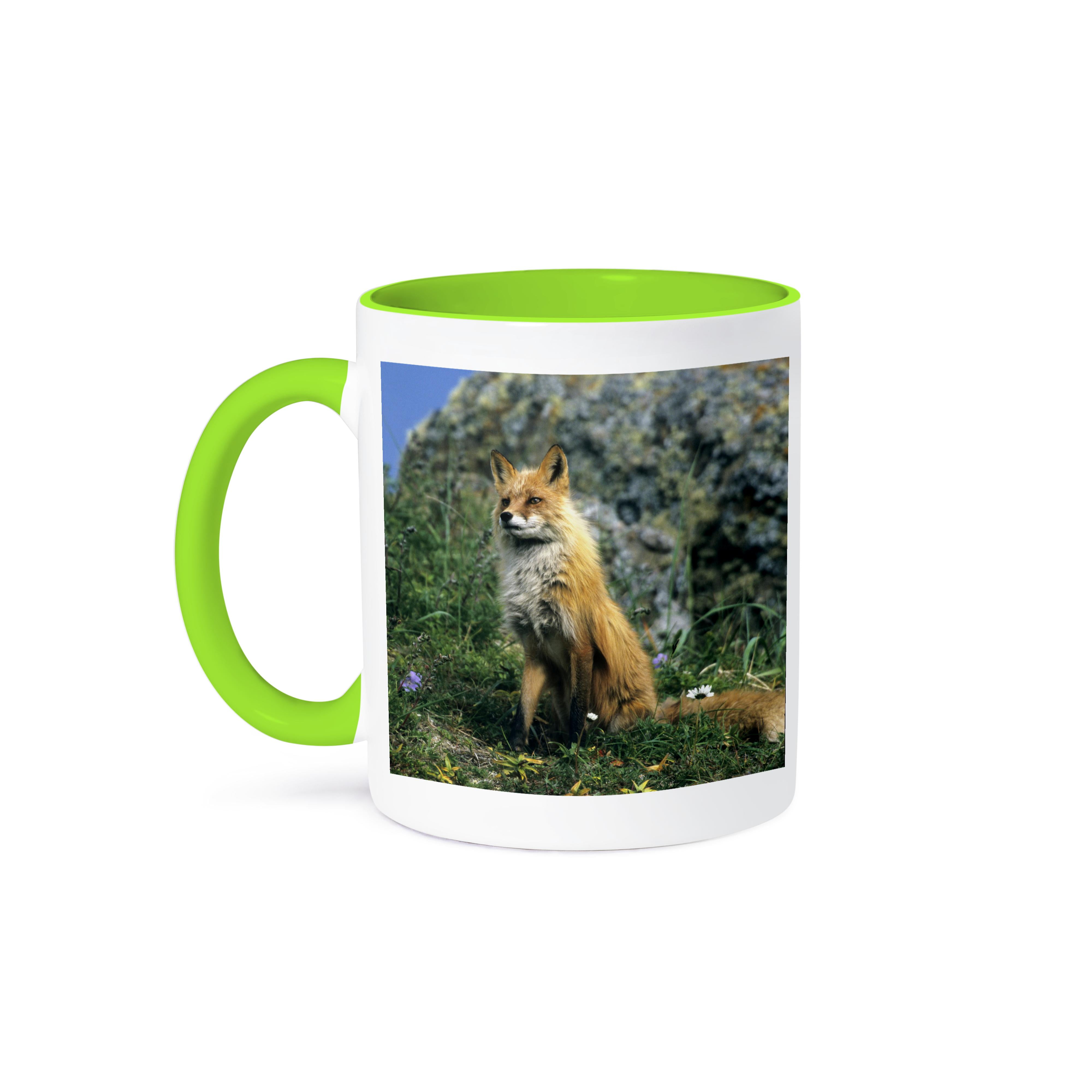 Red Fox, Round Island Sanctuary, Alaska - Us02 Ksc0055 - Kevin Schafer ...