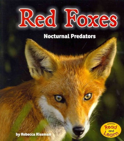 Red Foxes : Nocturnal Predators - Walmart.com