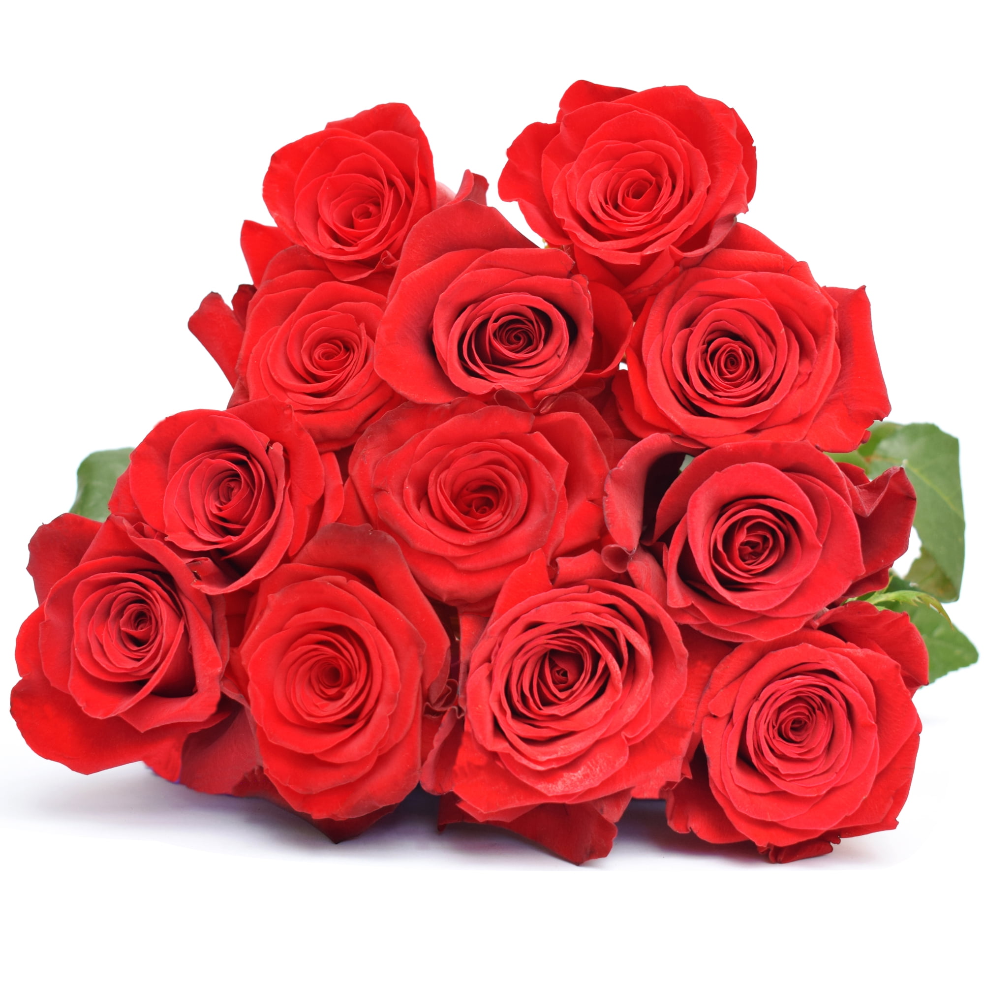 Red Fresh Cut Roses - Walmart.com